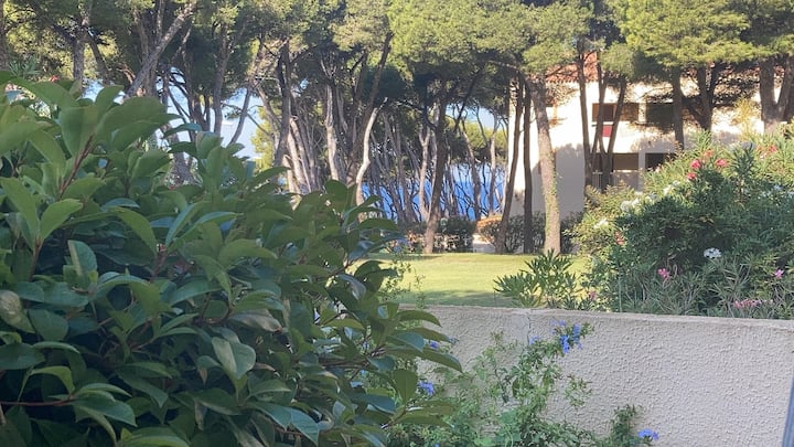 Appartement T2 Bord De Mer - Six-Fours-les-Plages