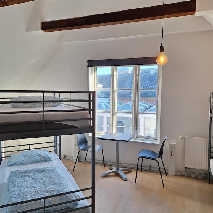 Hostel In A Odense Heart - Odense