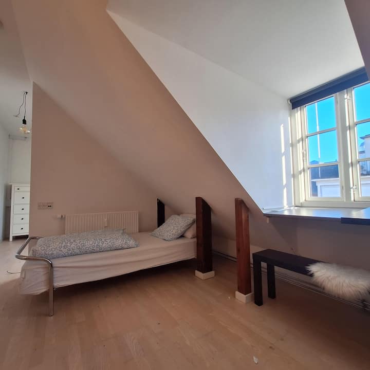Et Stort Hostel Med 65 Soverpladser I Centrum - Odense