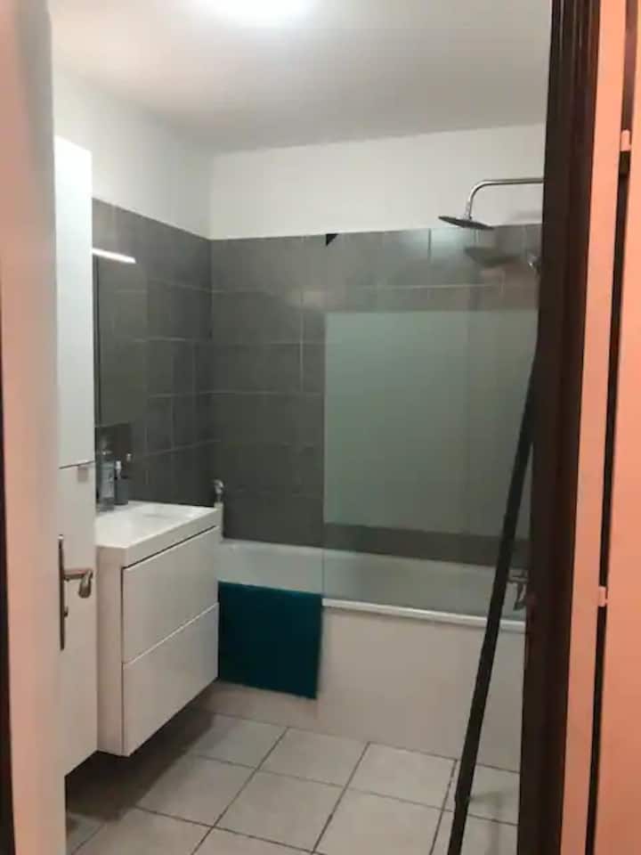 Coq 4. Chambre | Gare Annemasse - Annemasse