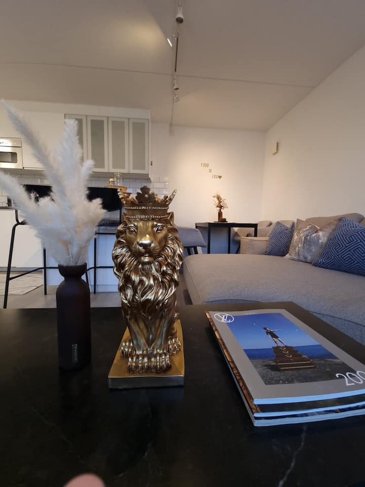 Penthouse In Oslo Central - Oslo