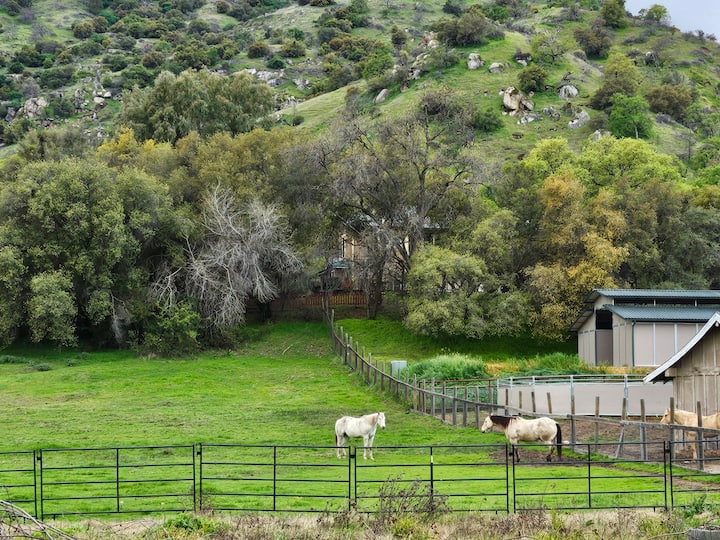 Sequoia Hillside Retreat - Three Rivers