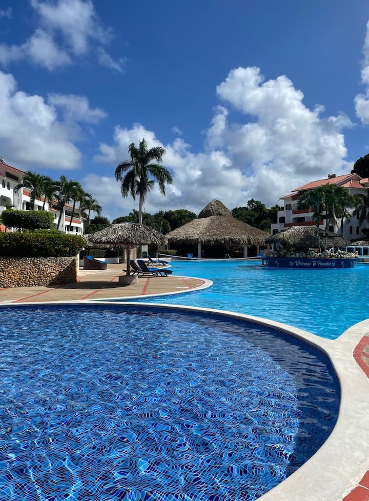 Hojas En Sosúa - Sosúa