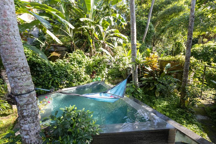 Central Treehouse Private Pool - Ubud