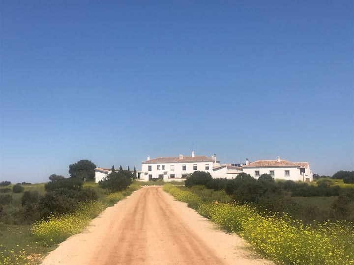 Cortijo En Lagunas De Ruidera - Alhambra