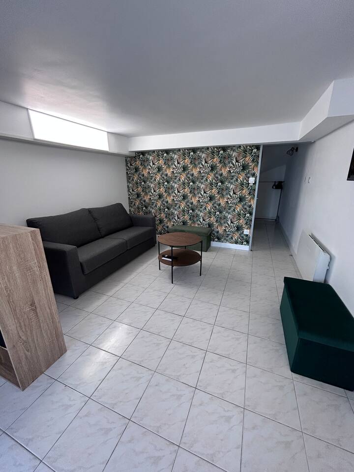 Appartement En Centre Ville - La Roche-sur-Yon