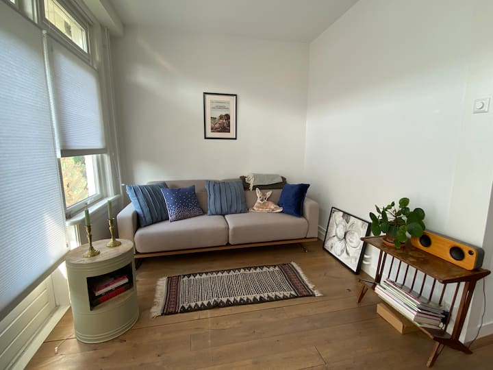 Erasmuspark Sunrise Balcony Apartment - 阿姆斯特丹