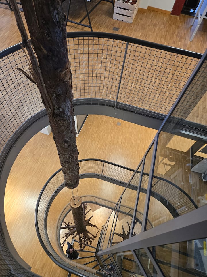 Grösstes Baumhaus Der Schweiz - Aarau