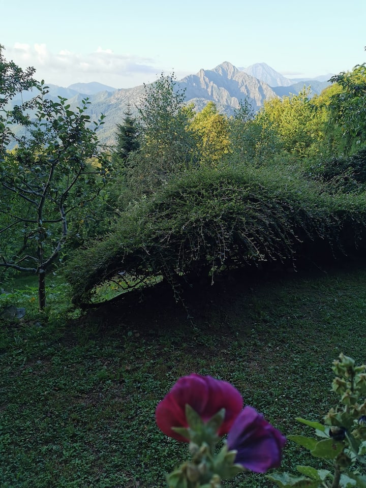 Casa Iris - Ceresole Reale