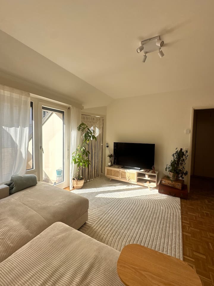 Charming Flat In Geneva Center - Genève