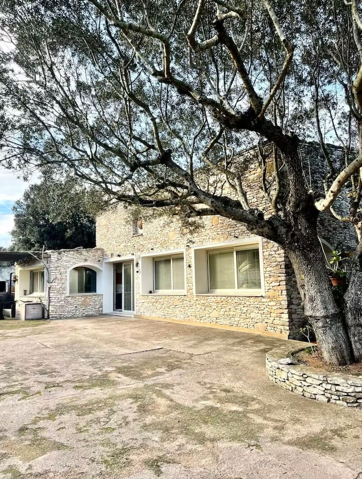 Villa Maestrale - Figari