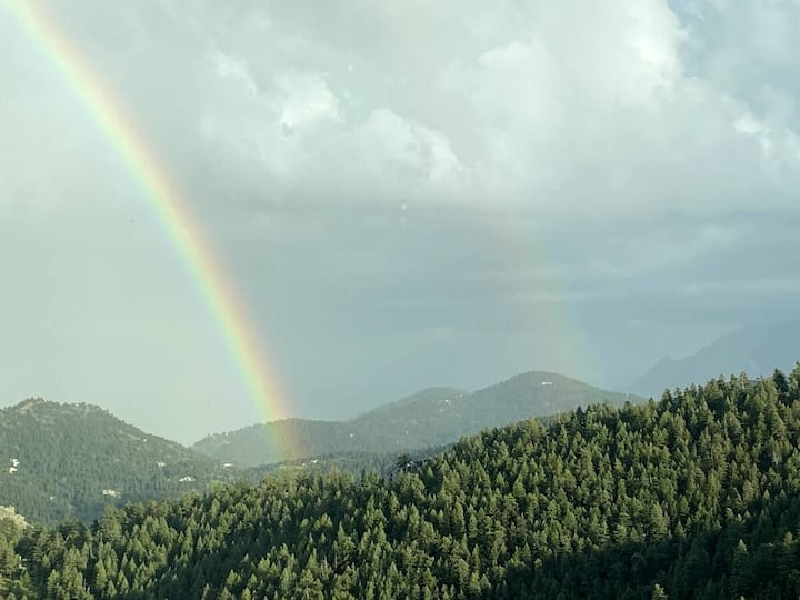 Skyline Forest Retreat - 1 Bed & Bath - United States