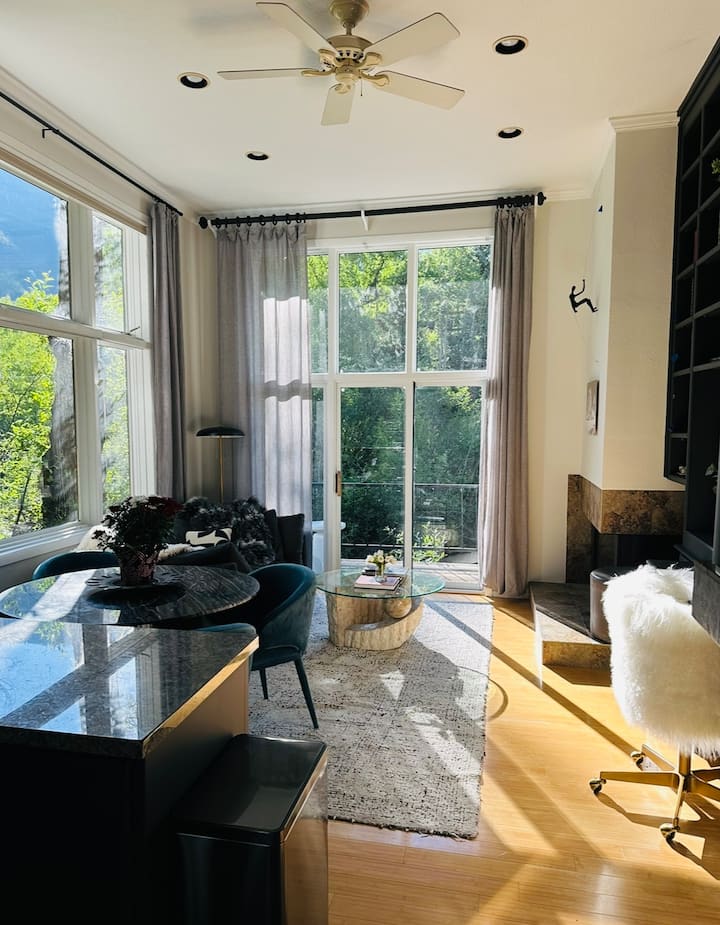 Sunlit 2b/2ba Riverfront Aspen Jewel Box - Aspen, CO