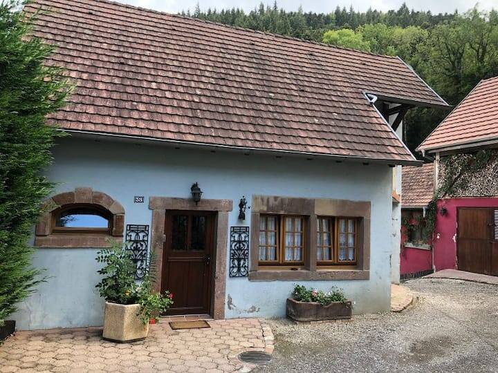 Gîte Typique Alsacien - Wattwiller