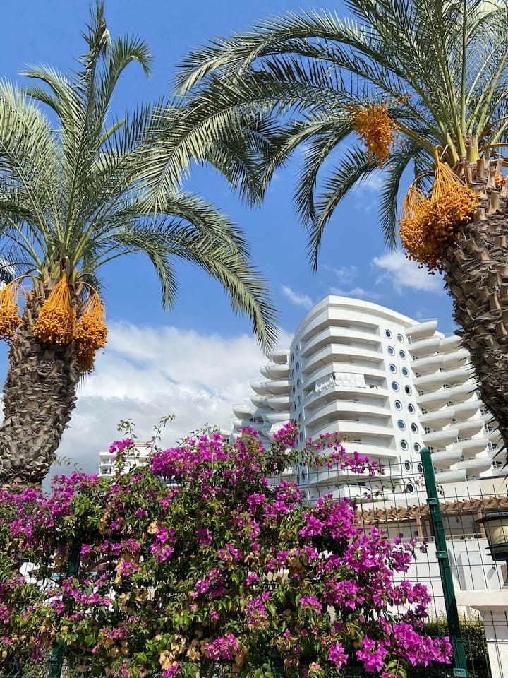 Sea Adventure - Mahmutlar