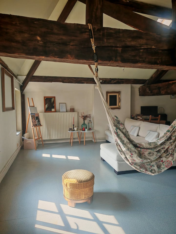 Loft Original Et Spacieux - Metz
