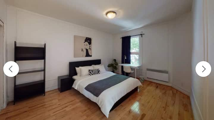 Gorgeous Apartment St. Famille - Montréal