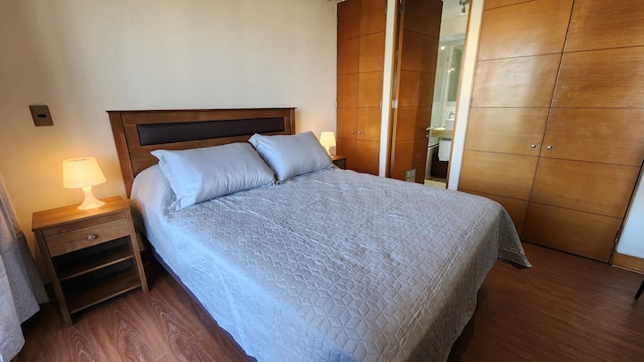 Dos Departamentos. 8 Huéspedes - Providencia, Chile