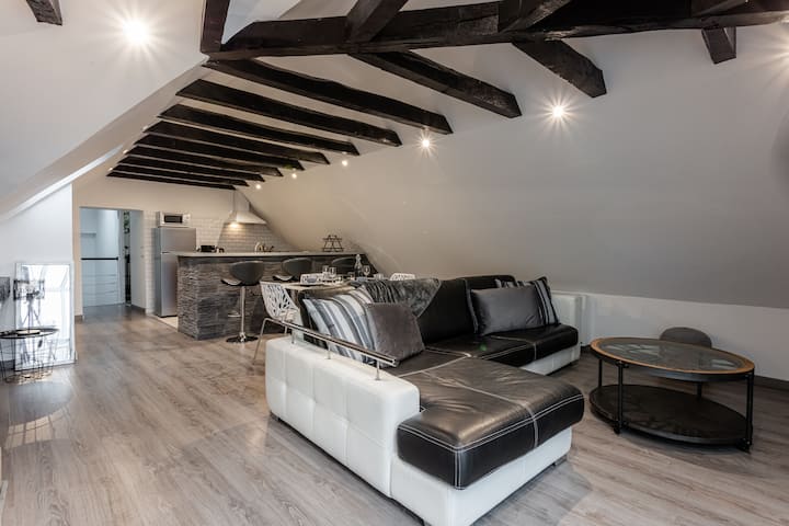 Appartement L'observatoire. - Rodez