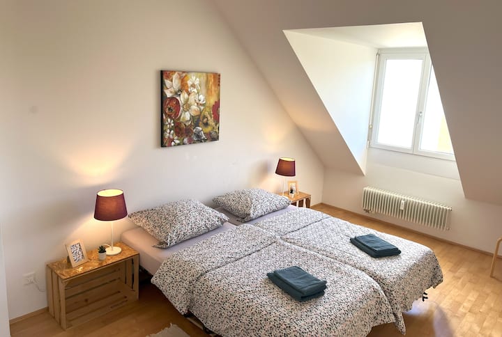 Sonnige Dachwohnung Mit Terrasse - Basel