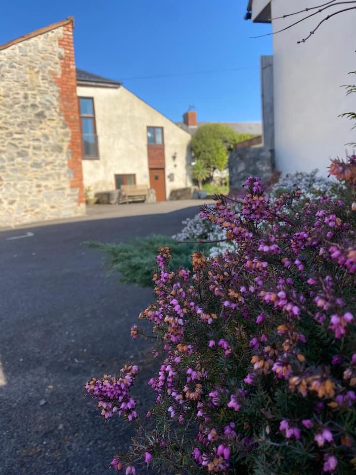 Cider Barn - Old Town Watchet - Watchet