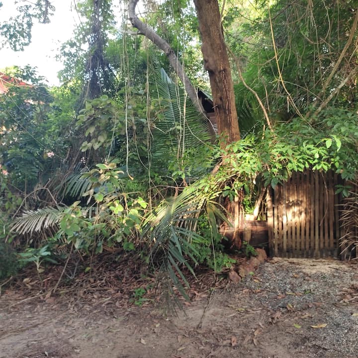 Estúdio Embira | Lago Verde - Pará (estado)