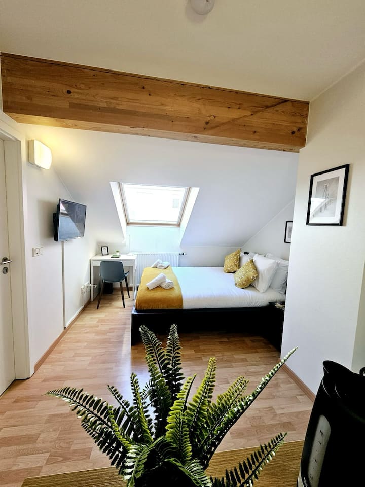 Compact Studio In Luxembourg - Luxemburgo