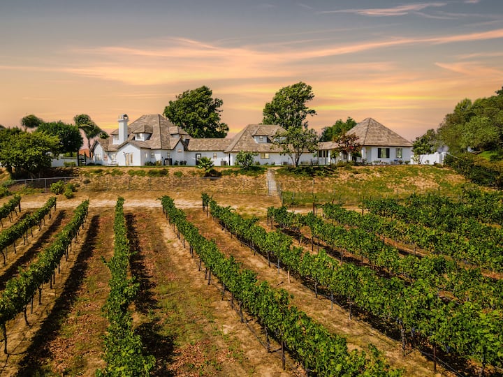 Chateau Blanc Vineyard Estate - Temecula