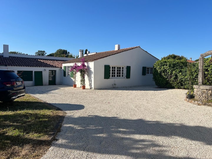 Location îLe Oléron 10 Couchages - La Cotinière