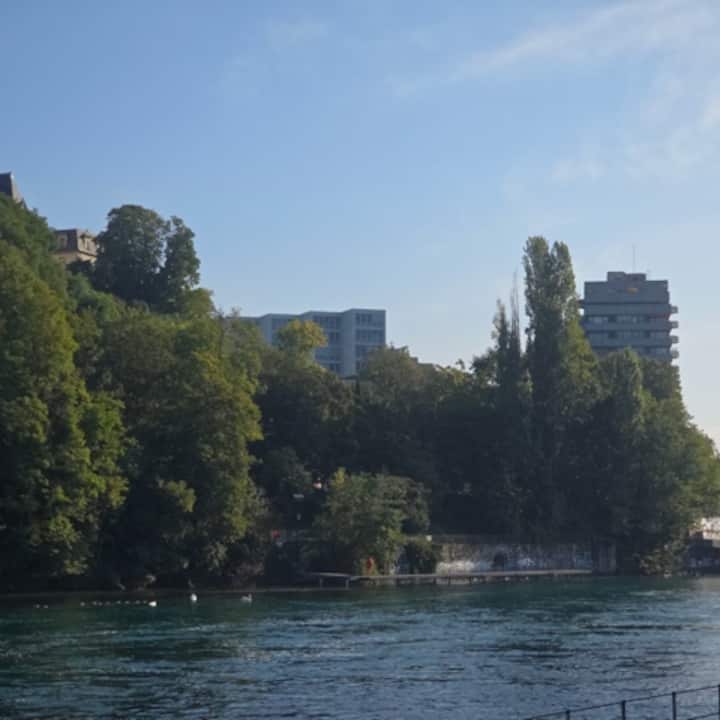 Appartement Centre Ville - Genf