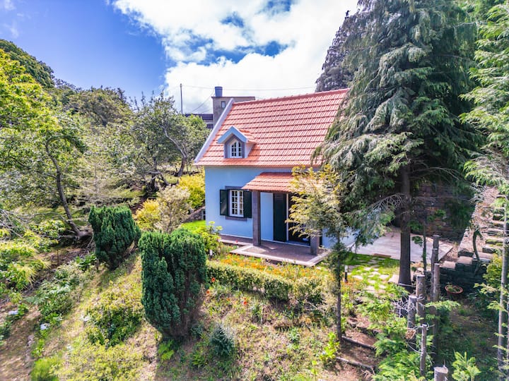 Chalé Das Figueirinhas By Alma Holiday Rentals - Madeira Island