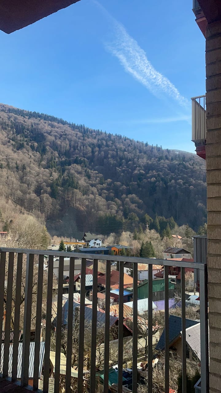 Splendid View Sinaia - Sinaia