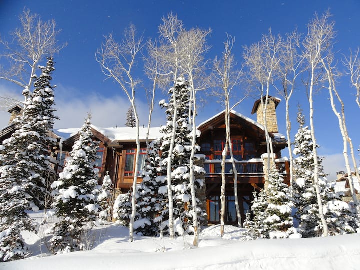 Ski In, Ski Out, Huge Balcony, Views, Shuttle! - Park City, UT