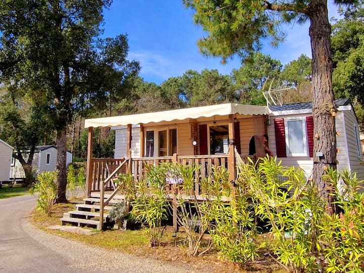 Mobilhome Dans Camping 4*ménage à Faire Avant Dpt - Lège-Cap-Ferret