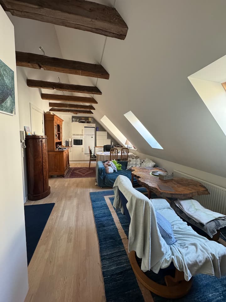 Unique Centrally Located Apartment /Easy Access - Copenhagen