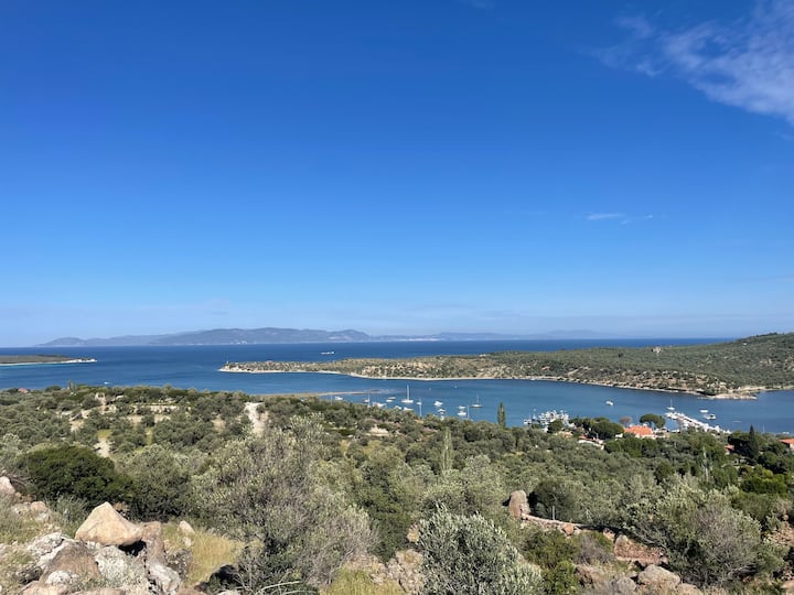 Bademli Olive Farm - Dikili