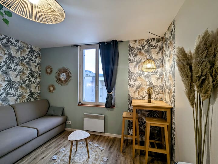 Studio + Jacuzzi En Supplément - Saint-Martin-d'Hères