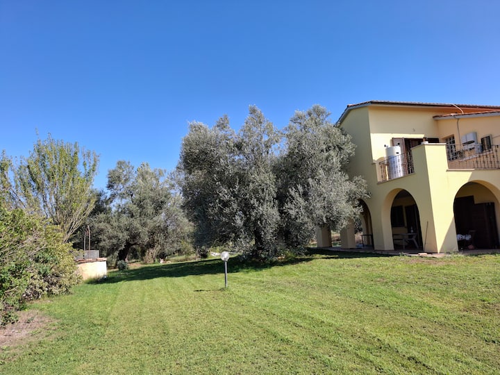 Il Casale Di Famiglia Per Le Famiglie - Tuscania