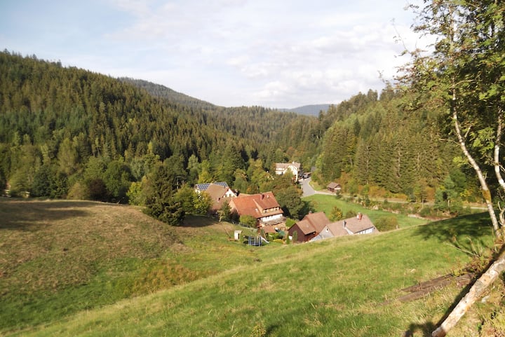 Ferienwohnung Schönmünzblick - Baiersbronn