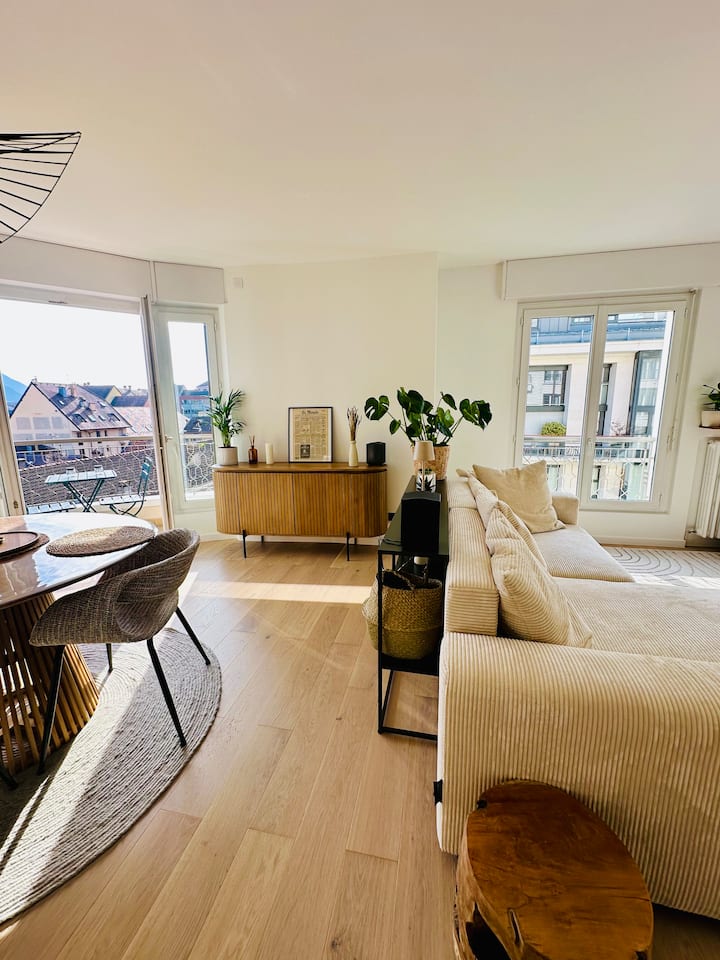 Appartement Vieille Ville - Seynod