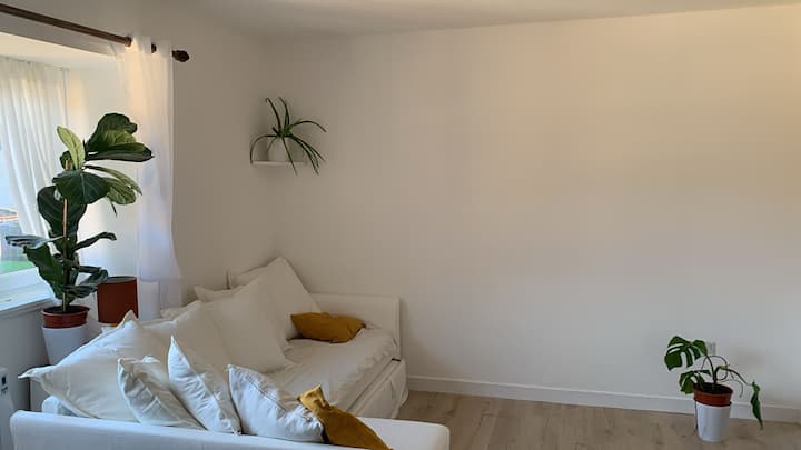 Charming & Quiet  Apartment - Edinburgh