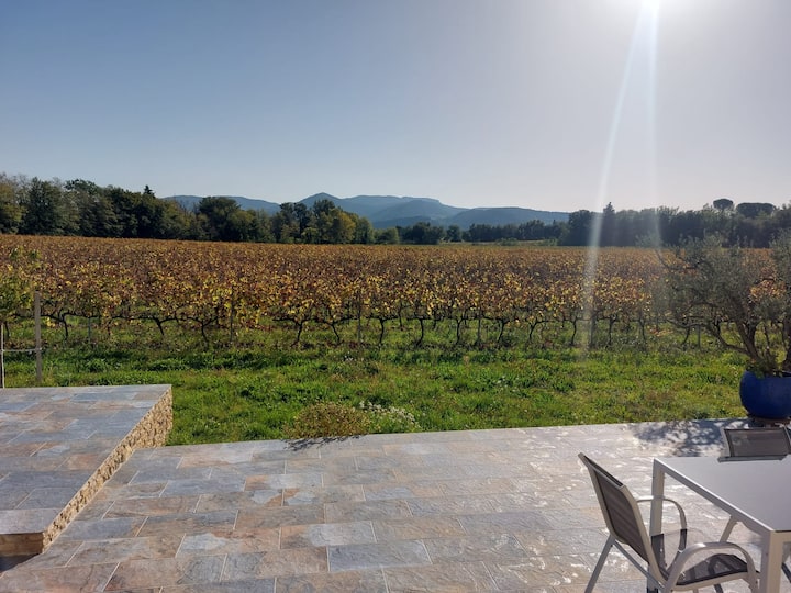 Maison Familiale - Vaison-la-Romaine