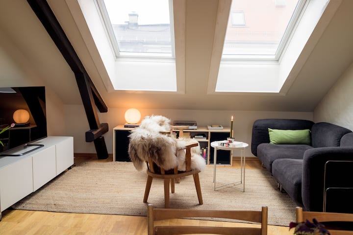 Cozy Loft Apartment - Oslo