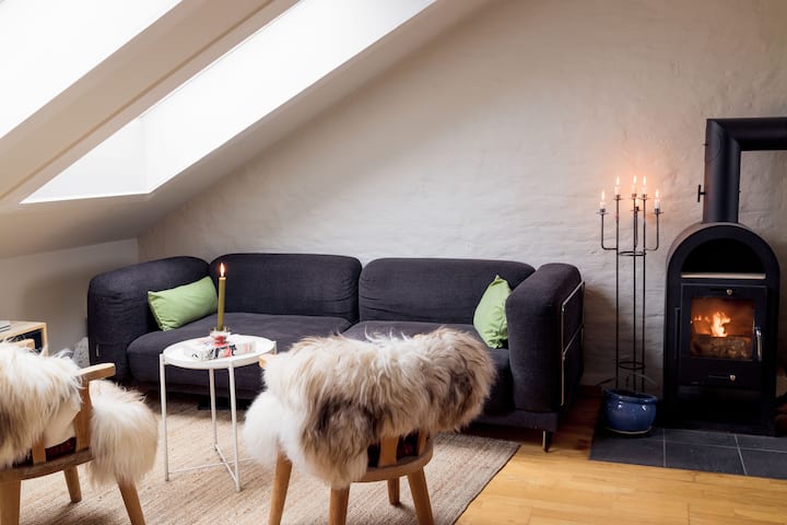 Cozy Loft Apartment - Oslo