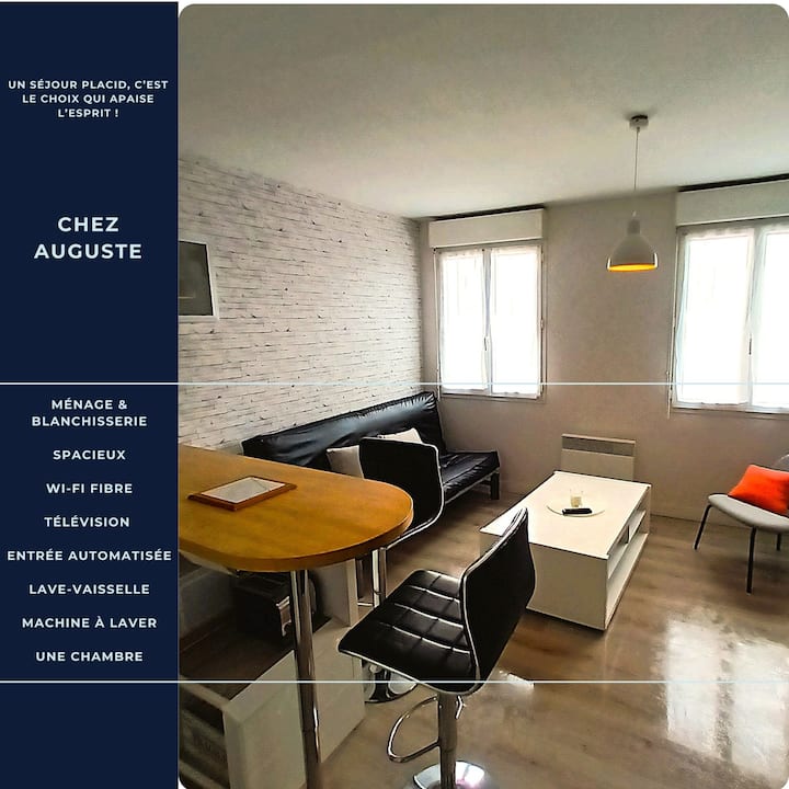 Chez Auguste-t2 Spacieux-wifi-tv - Tours