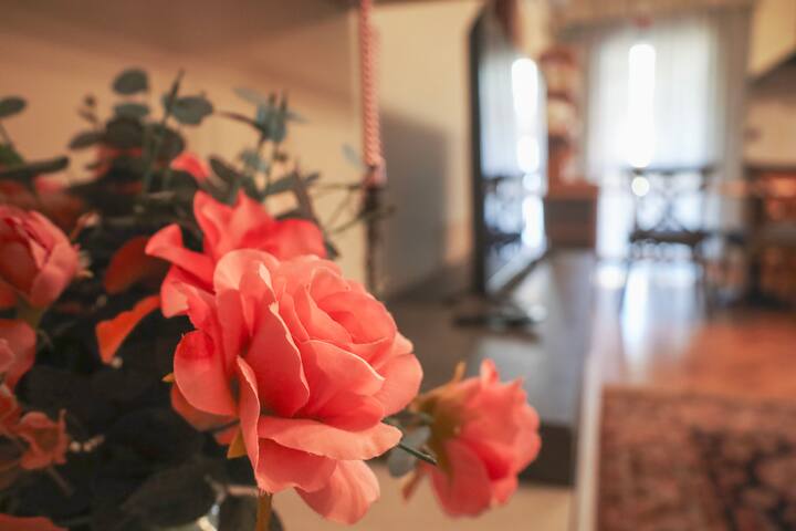 Capital Apartment - Sassari
