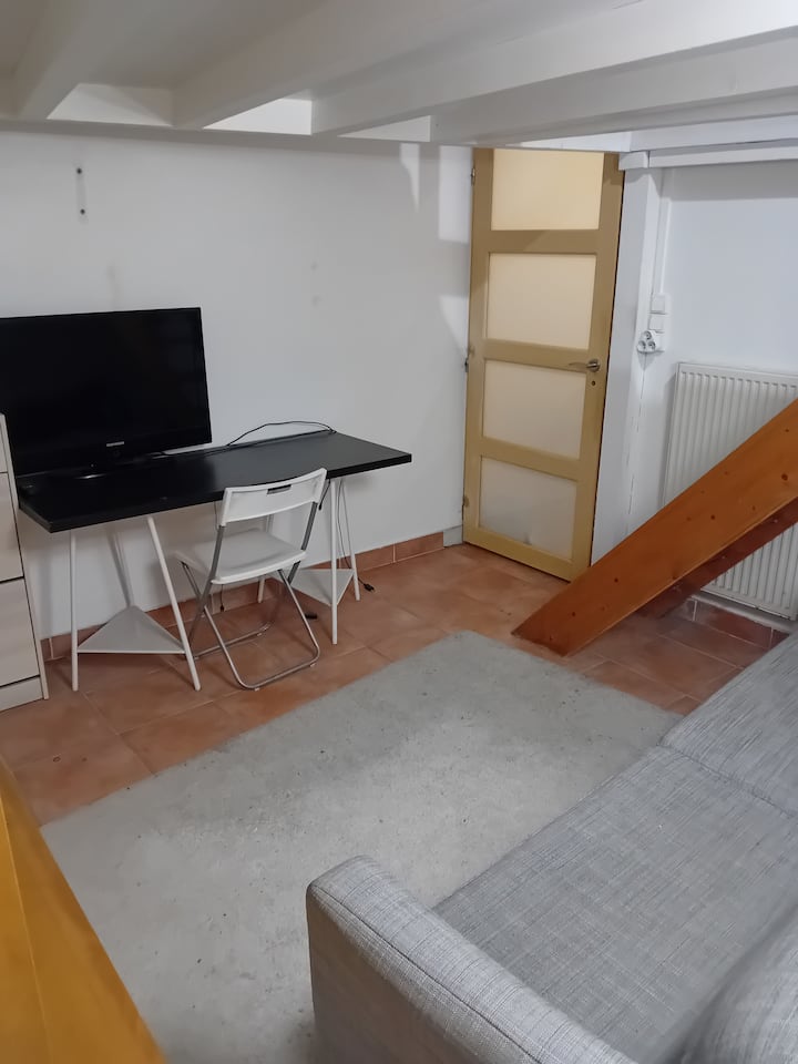 Logement Agréable Avec Extérieur - Lyon