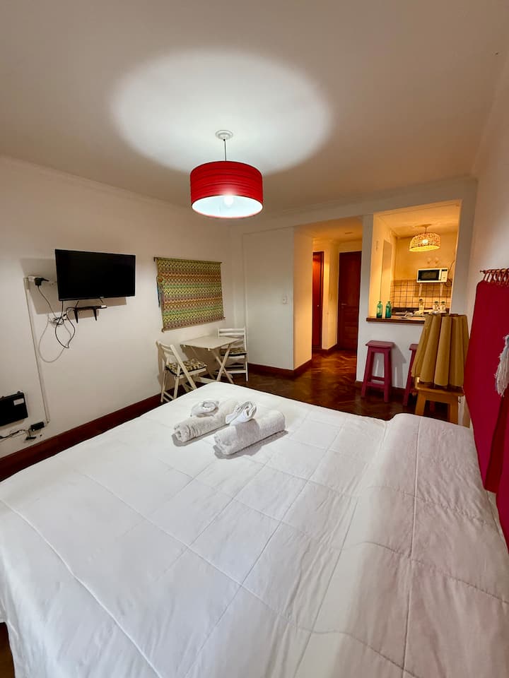 Monoambiente Espacioso Alsina - Salta