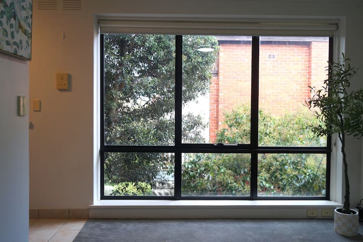 Alma Tree Top Retreat - St Kilda