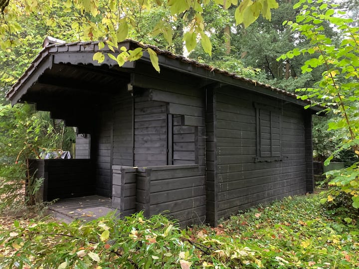 Tiny Haus In Nature Park - 威斯巴登